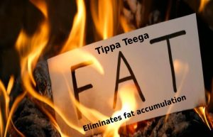 Tippa Teega - Health Benefits, Use and Efficiency of Tippa Teega