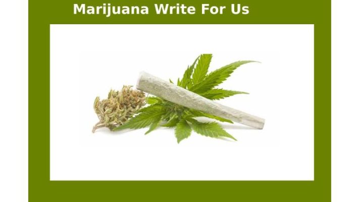 Marijuana Write For Us - The Ace Fitness
